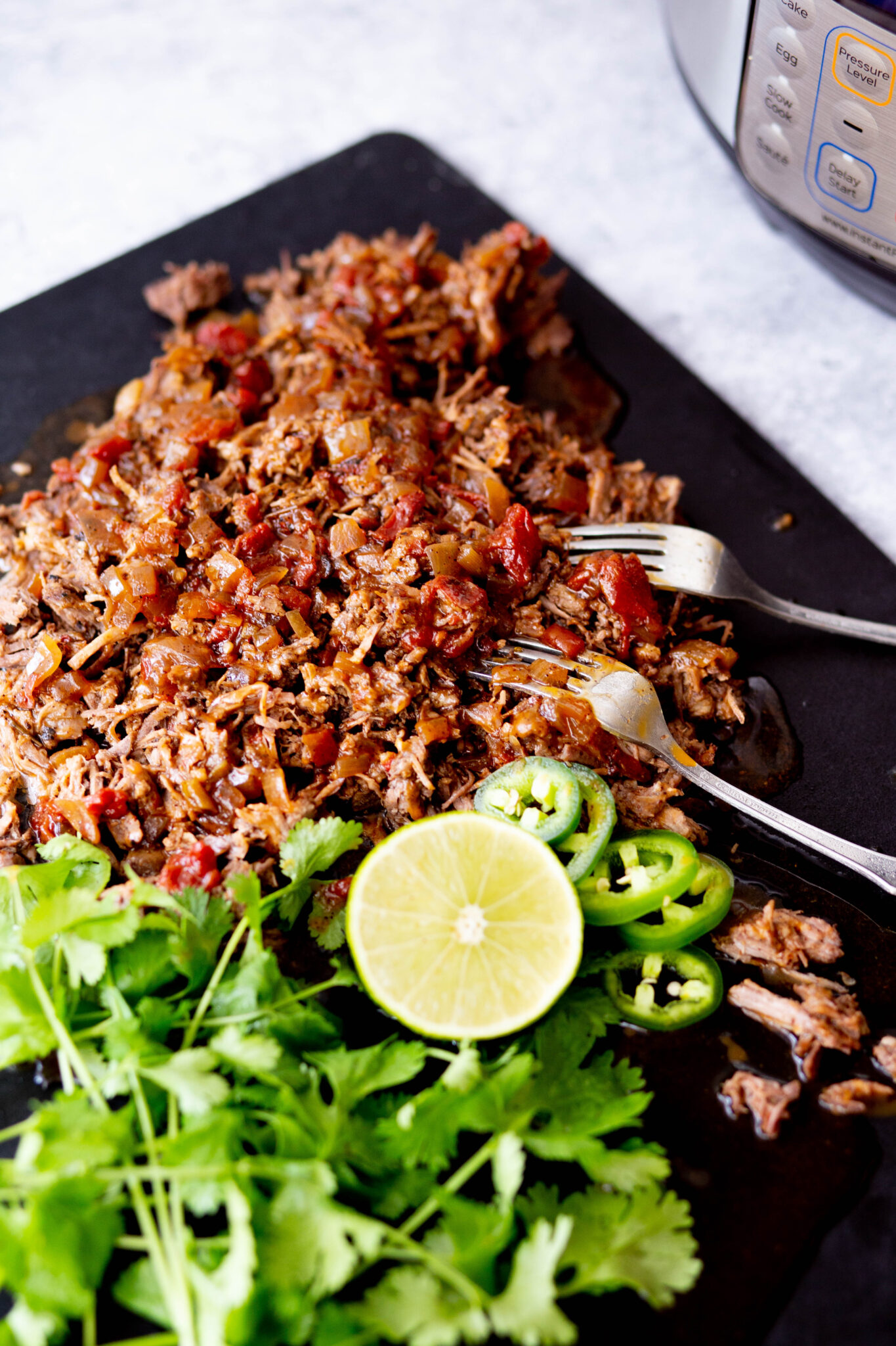 Instant Pot Shredded Beef - Modern Minimalism