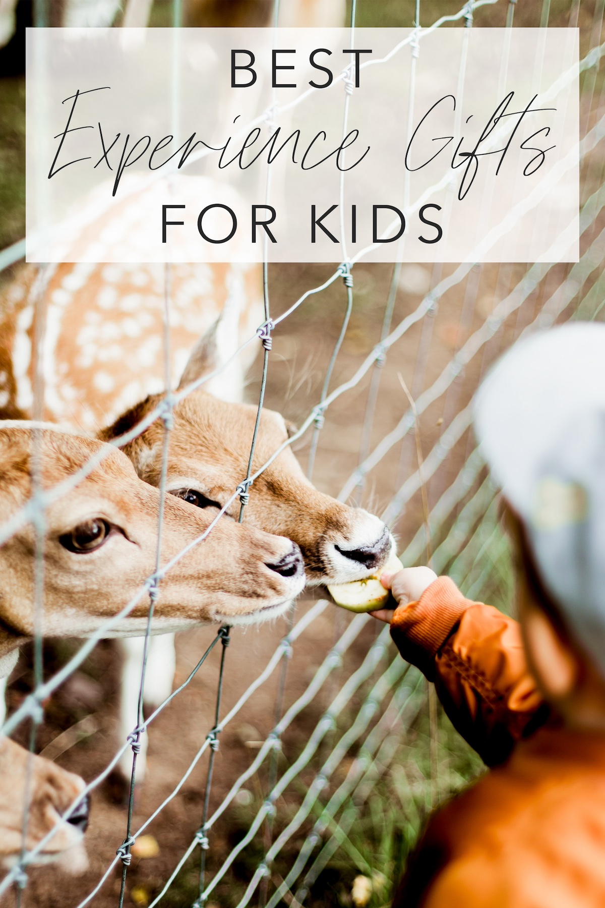 50+ Best Experience Gifts for Kids - Modern Minimalism